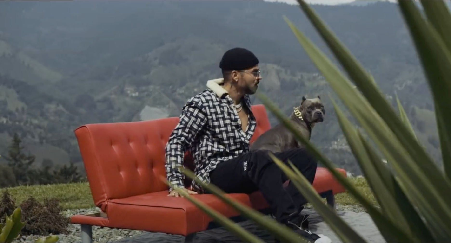 La star du reggaeton Reykon a été aperçue dans quelques morceaux de TH ...